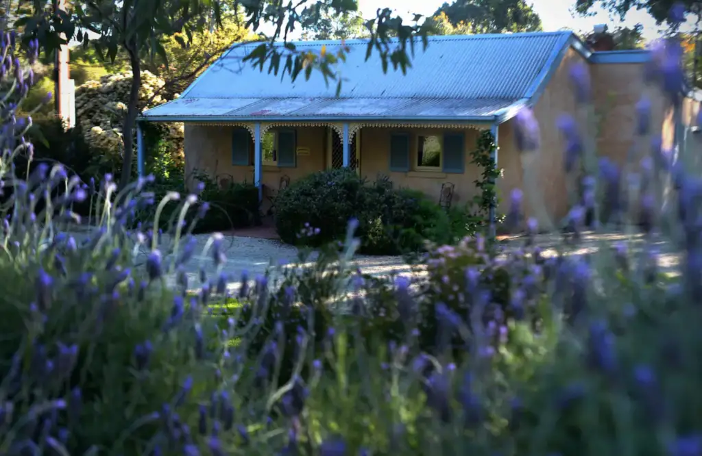 How to Spend A Weekend in the Clare Valley | Travelling Tam