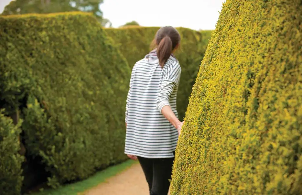 How to Spend A Weekend in the Clare Valley | Travelling Tam